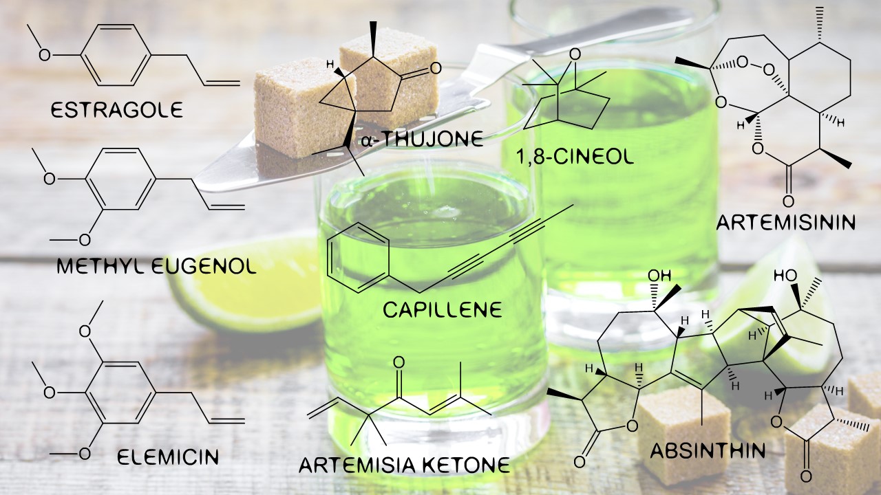 L'absinthe étoilée : L'herbe la plus amère de toutes ~ Colonnes