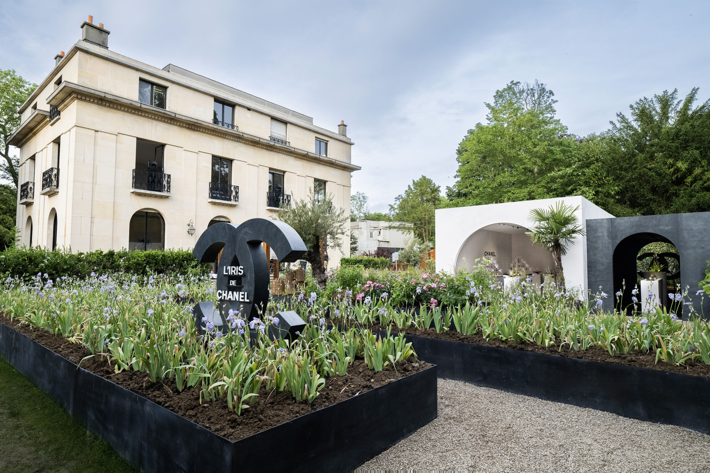 Uma Exposição Dedicada a Iris Pallida da Chanel ~ Arte Livros Eventos