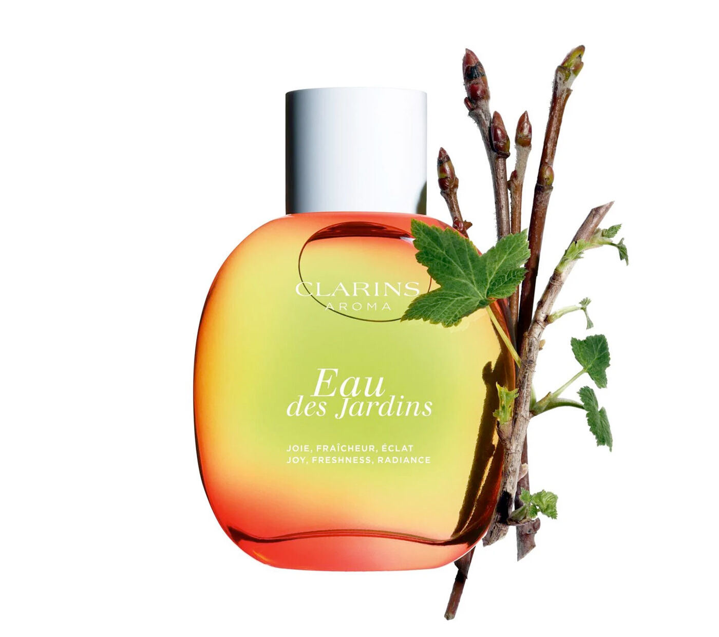 A Fragância Harmonizadora da Clarins: Não é Bem um Perfume ~ Avaliação ...