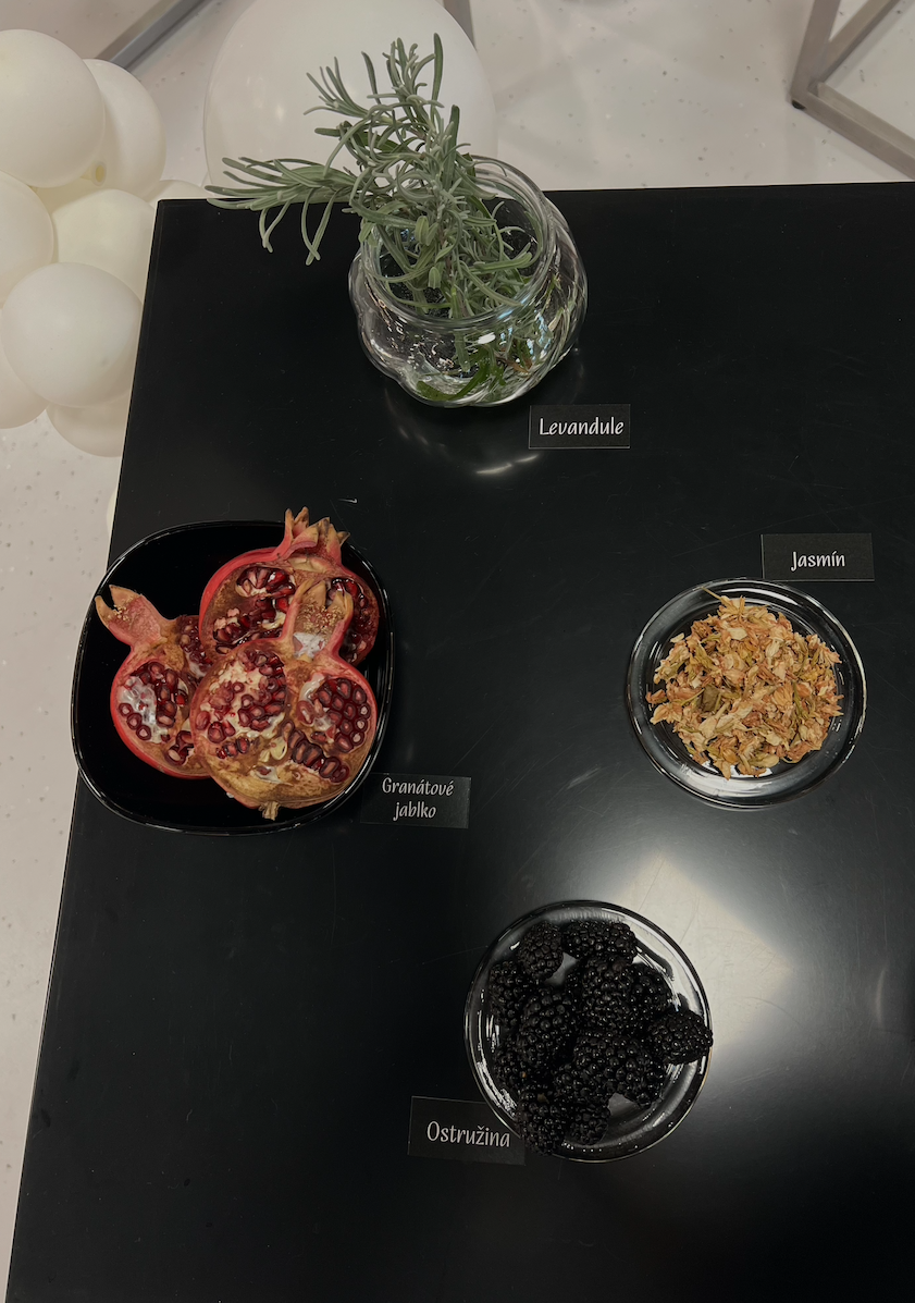 20. narozeniny ELNINO ~ Umění, knihy, akce