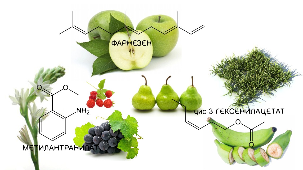L'odeur du jasmin est plus forte : le jasmin en parfumerie ~ Colonnes