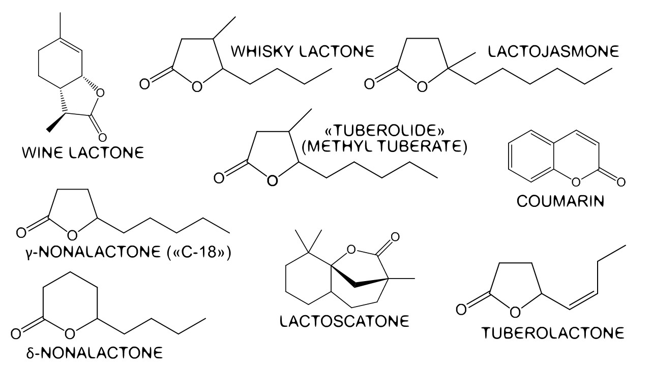 Brzoskwinie, kokosy i śmietana: laktony w perfumach ~ Składniki