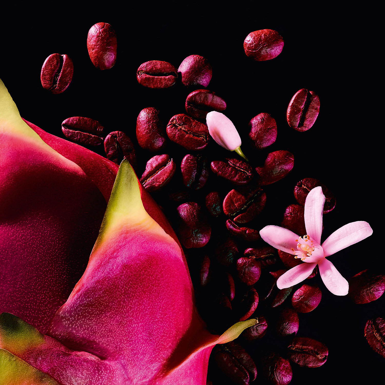 Black Opium Neon: аромат парижского кафе ~ Обзоры ароматов