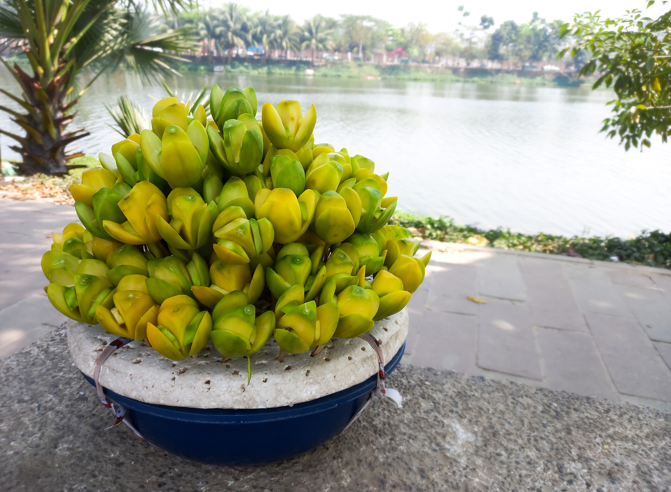 Aromas do Brasil: Taperebá ~ Fragrâncias e Culturas