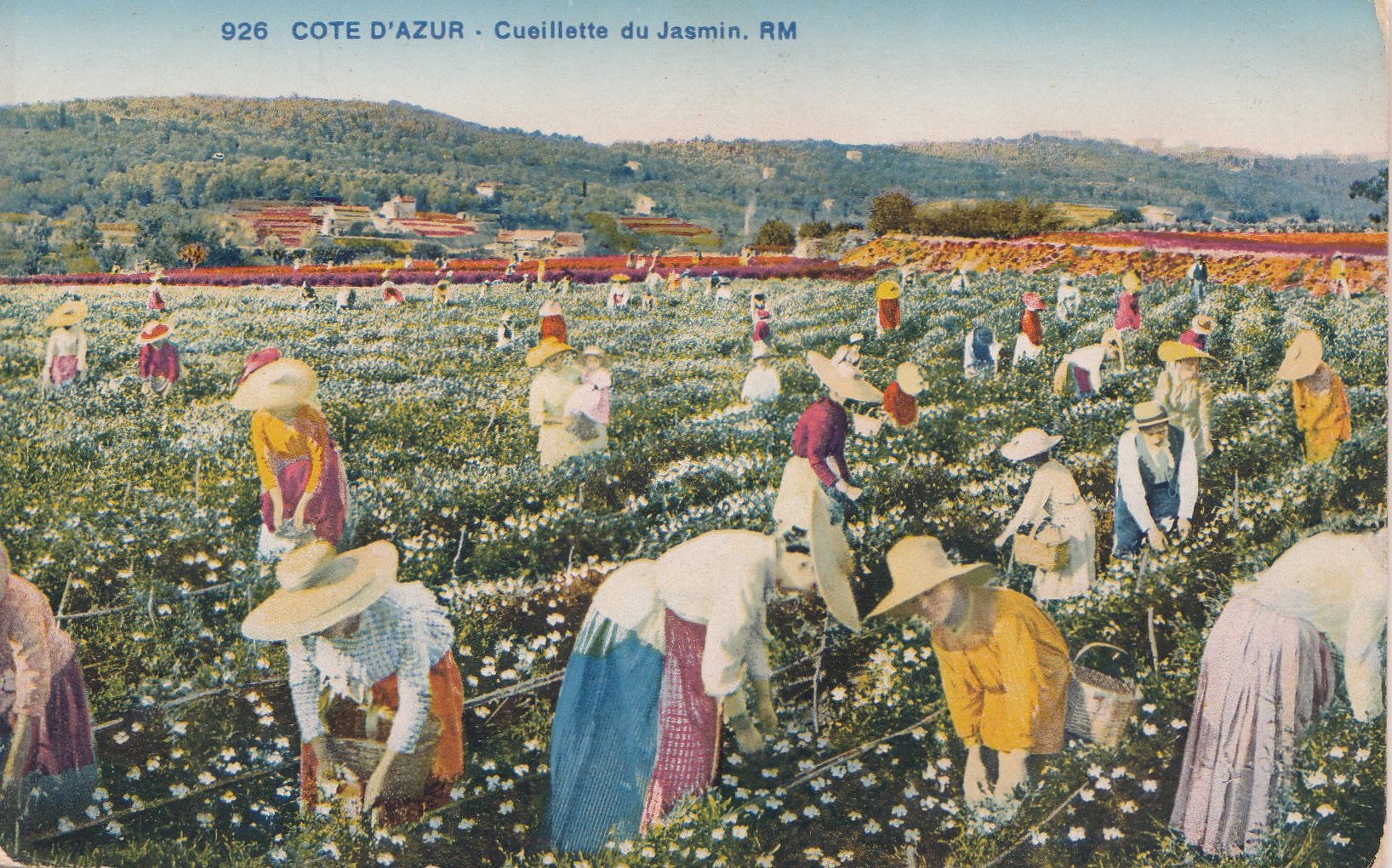 Der Gestank von ... Überregulierung ~ Kolumnen