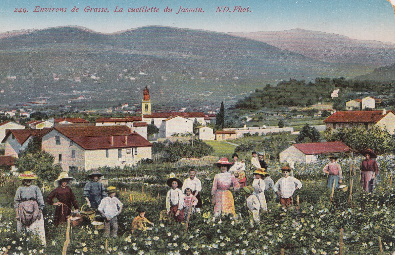 Der Gestank von ... Überregulierung ~ Kolumnen