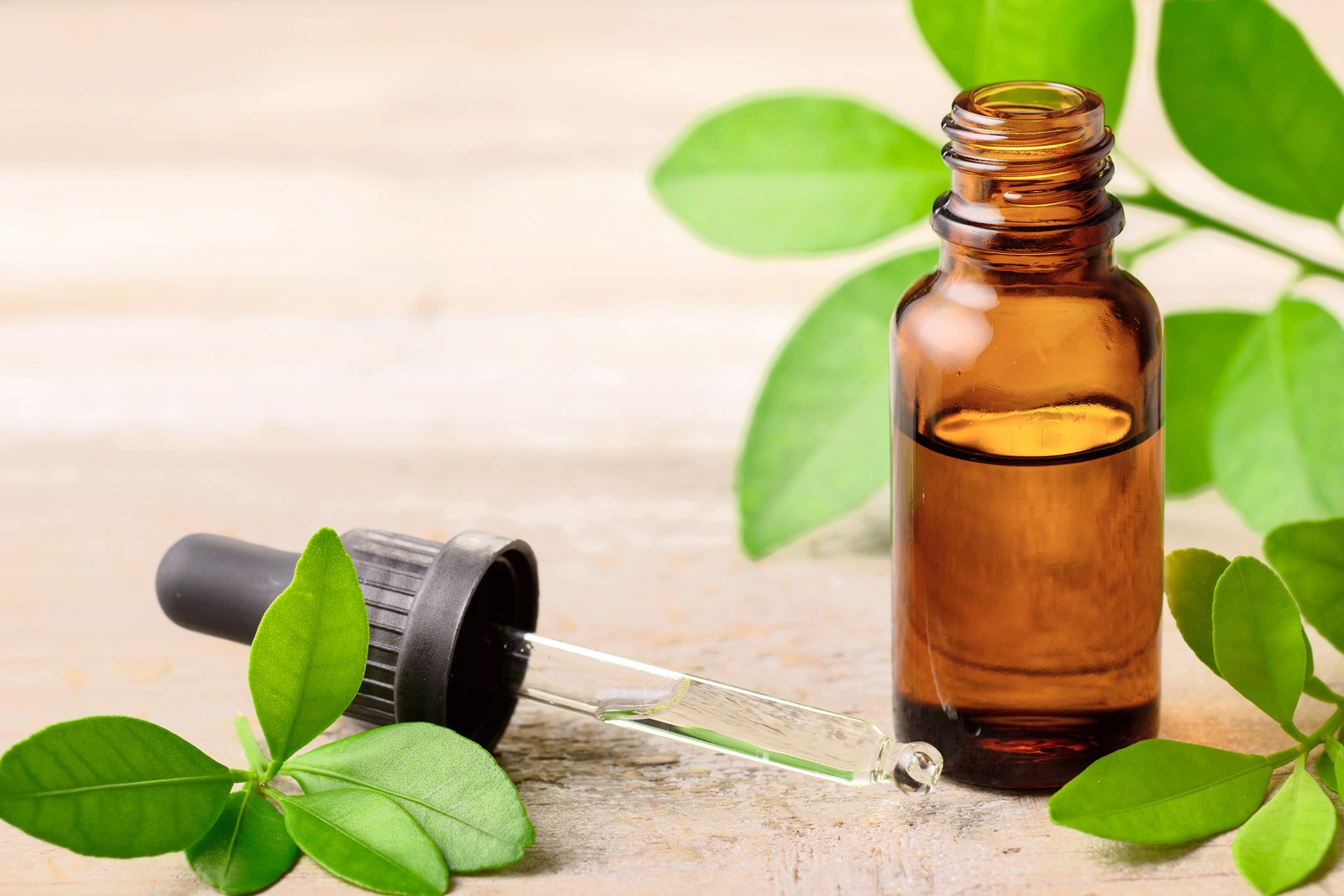 Notas verdes en la perfumería ~ Materias primas