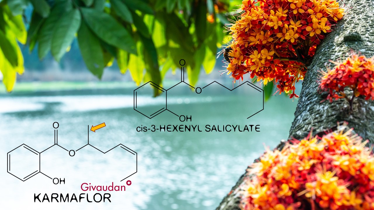 Les notes vertes en parfumerie ~ Colonnes