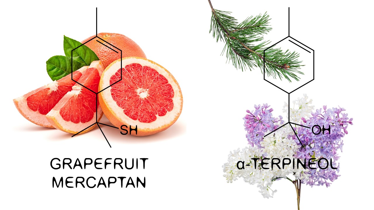 Cesta jednoho parfuméra ke grapefruitu: Jean Claude Ellena ~ 1001 ...