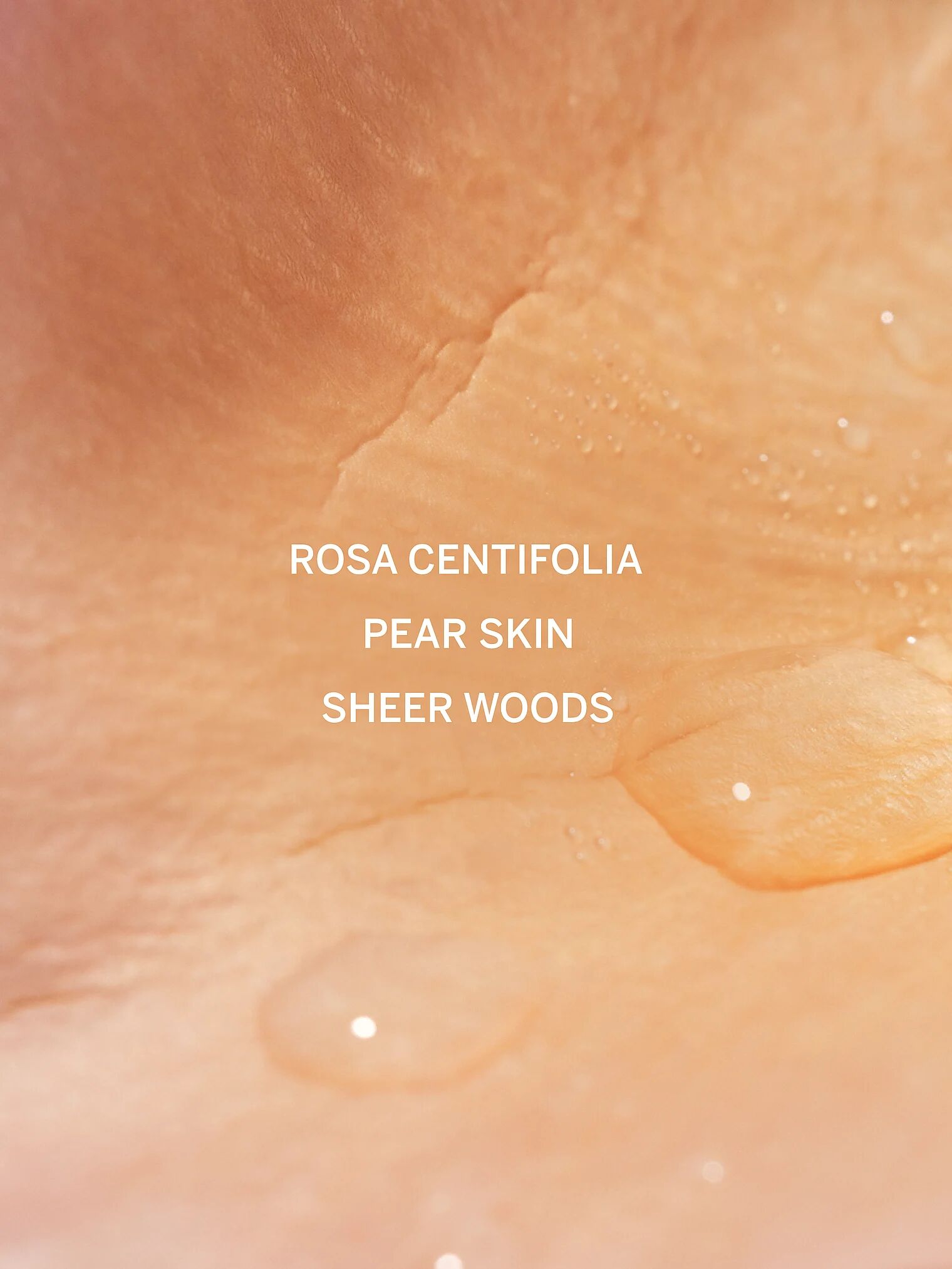 Victoria's Secret Bare Rose: Natürliche Weiblichkeit ~ Reviews