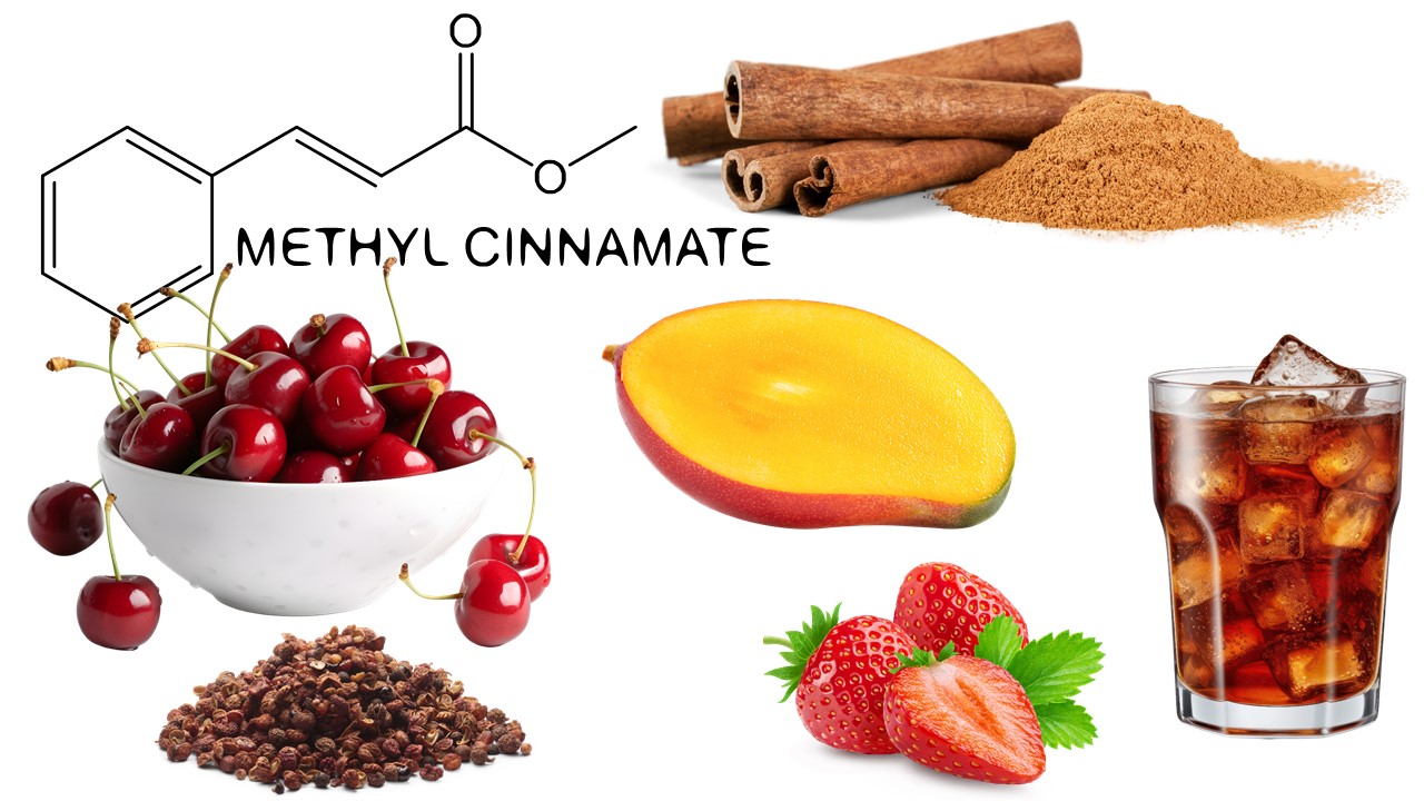 Basilikum in Legenden, beim Kochen und in Parfüms ~ Duftnoten