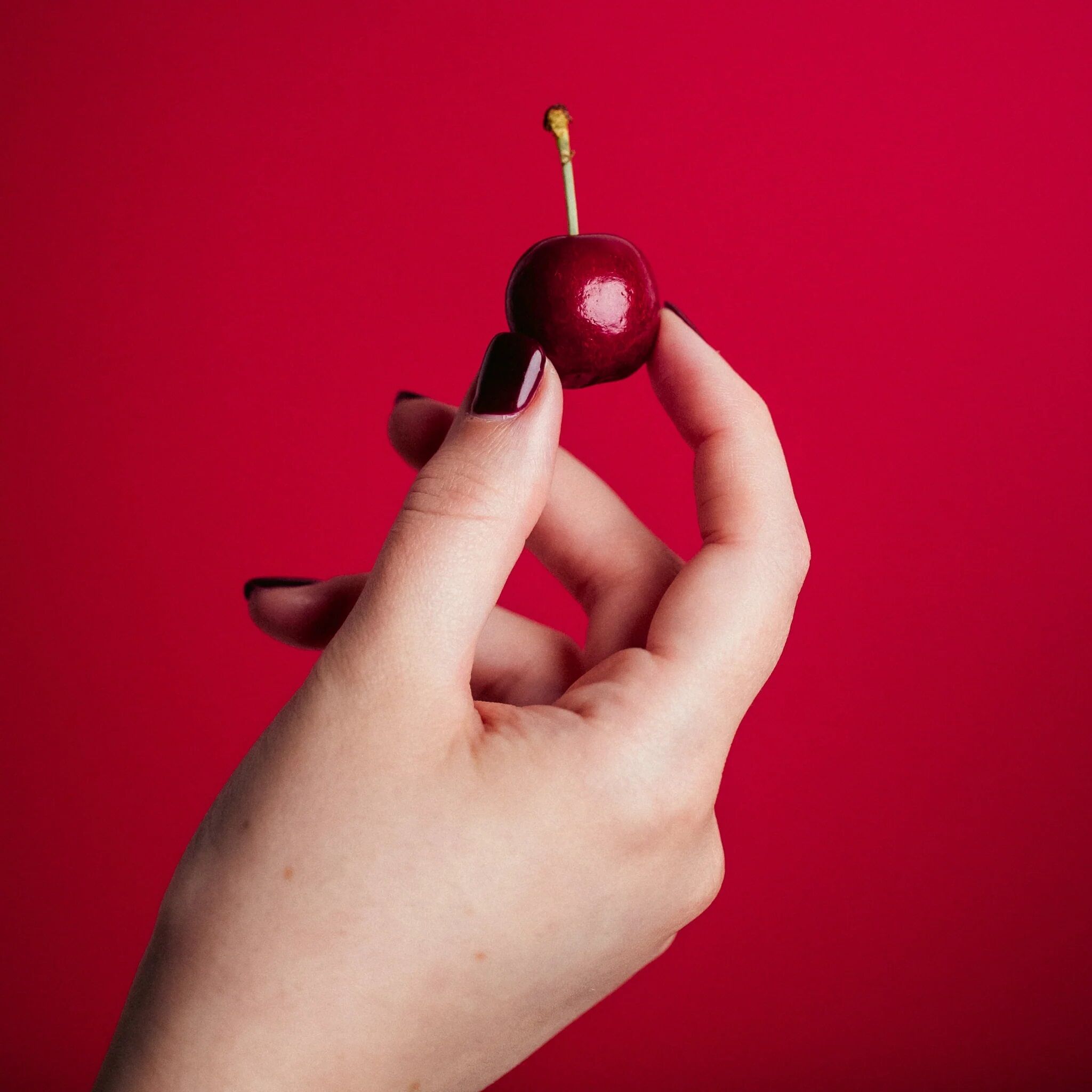 Cherry Ambition: Die Kirsche, die alles am Laufen hält ~ Reviews