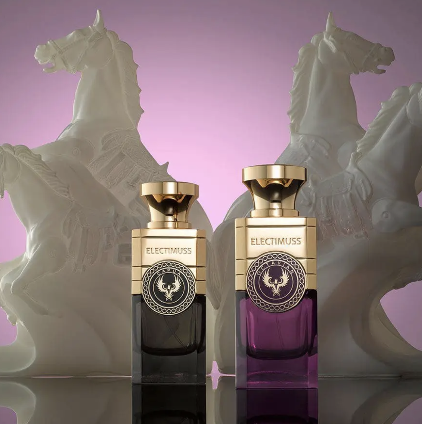 Electimuss Puritas: Καθαρό λιβάνι ~ ΚΡΙΤΙΚΕΣ ΑΡΩΜΑΤΩΝ