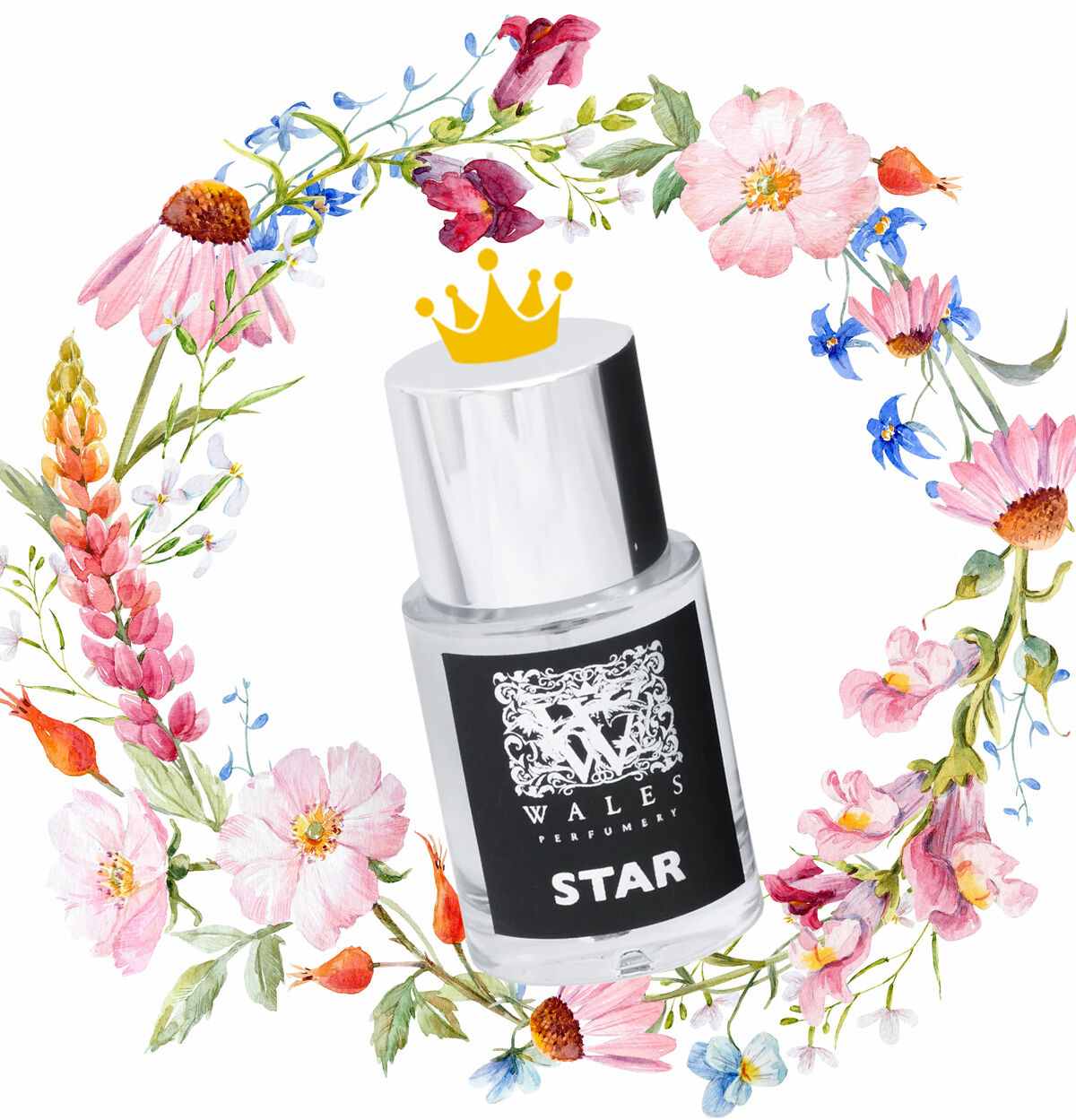 SUMMER 2024 PERFUME HIGHLIGHTS: Mood Canvas Seven Gates & Star - Seren ...