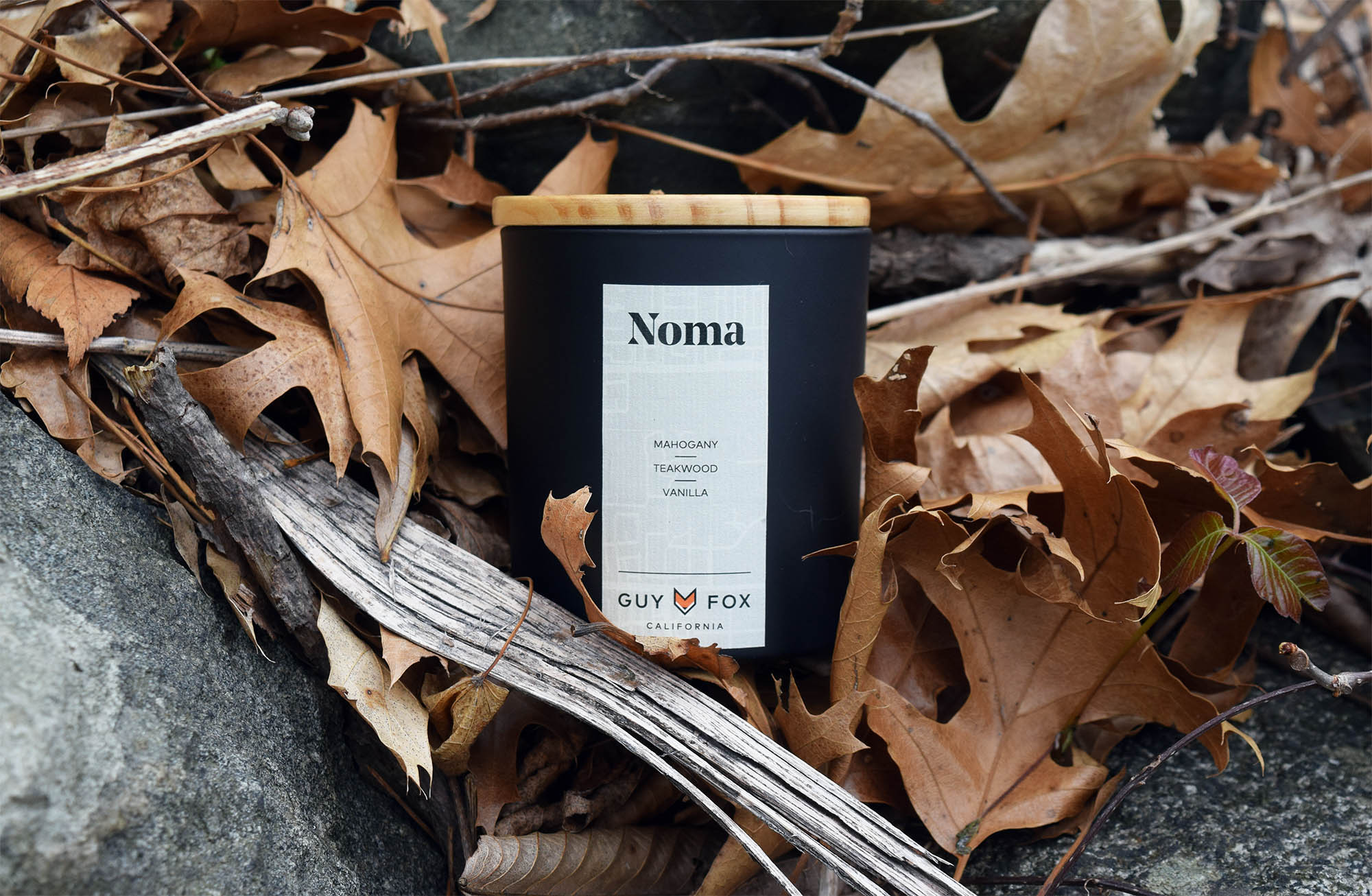 GUY FOX's Nelson bringt uns in den Wald und zu den Wellen ~ Reviews