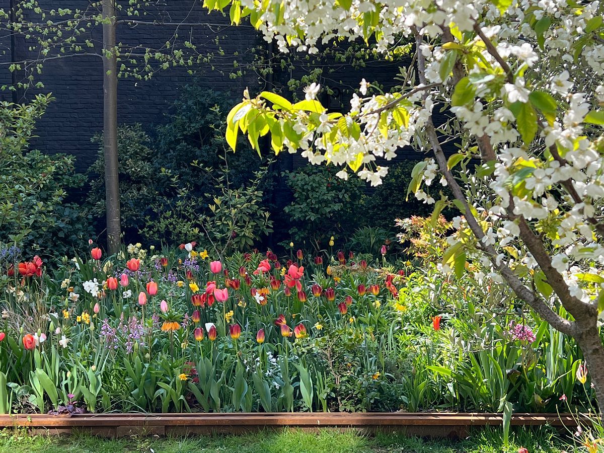 Ένα άρωμα τουλίπας από τον αρχιτέκτονα κήπων Ronald van der Hilst ...