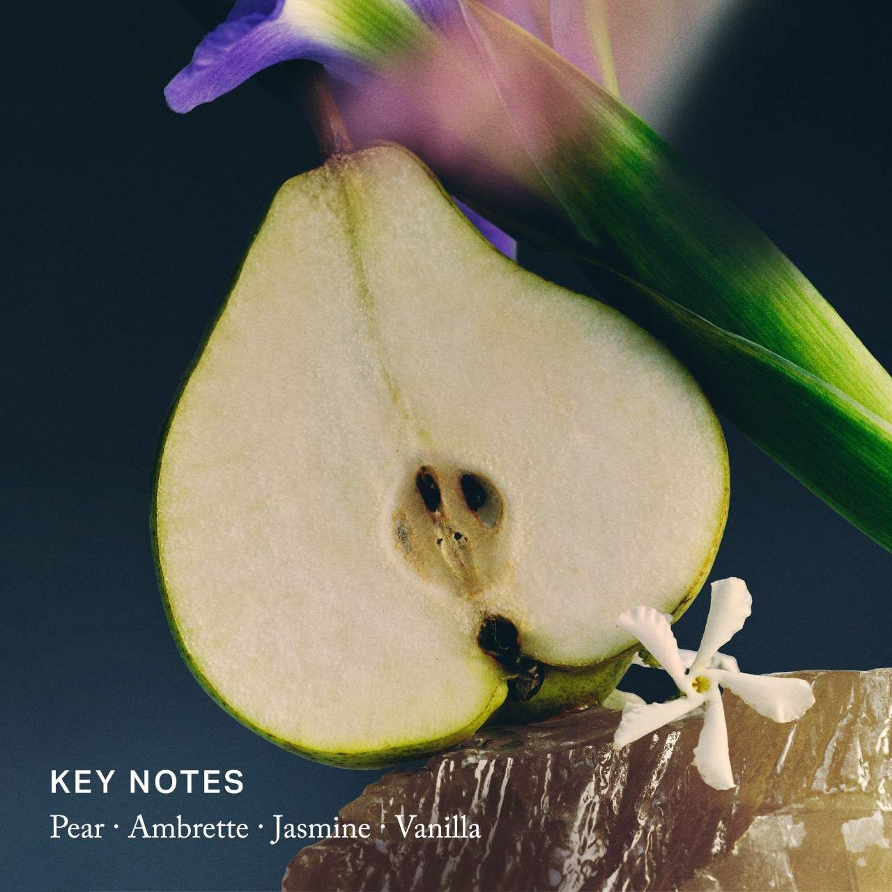 Retrospect by Merit ~ Duftneuheiten