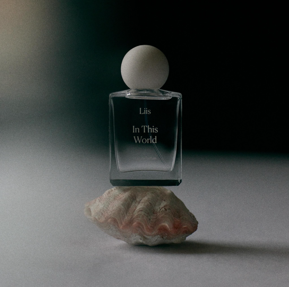 Liis erweitert seine Sammlung um In This World ~ Nischendesigner und ...