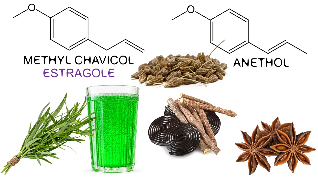 Basilikum in Legenden, beim Kochen und in Parfüms ~ Duftnoten