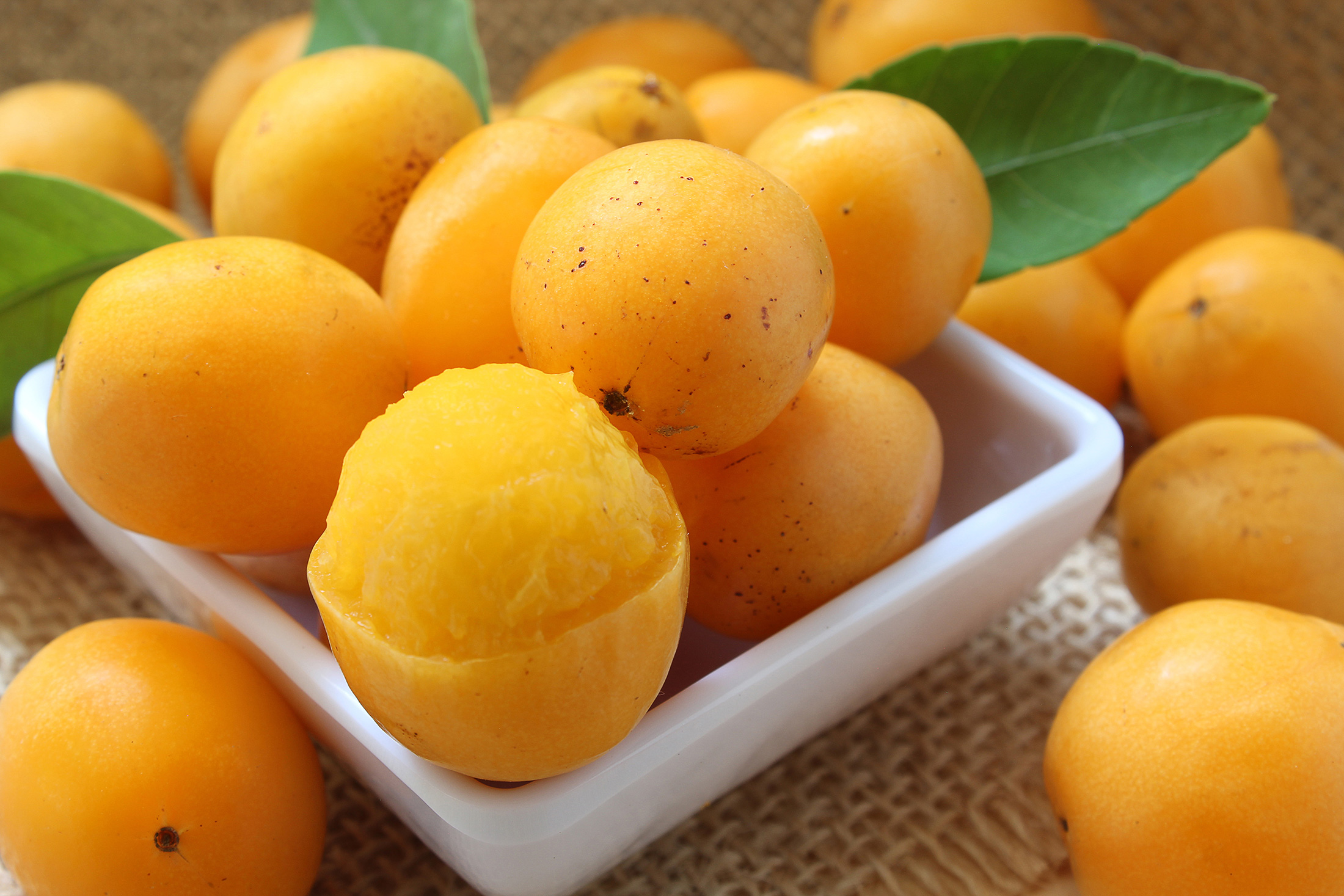 Aromas do Brasil: Taperebá ~ Fragrâncias e Culturas