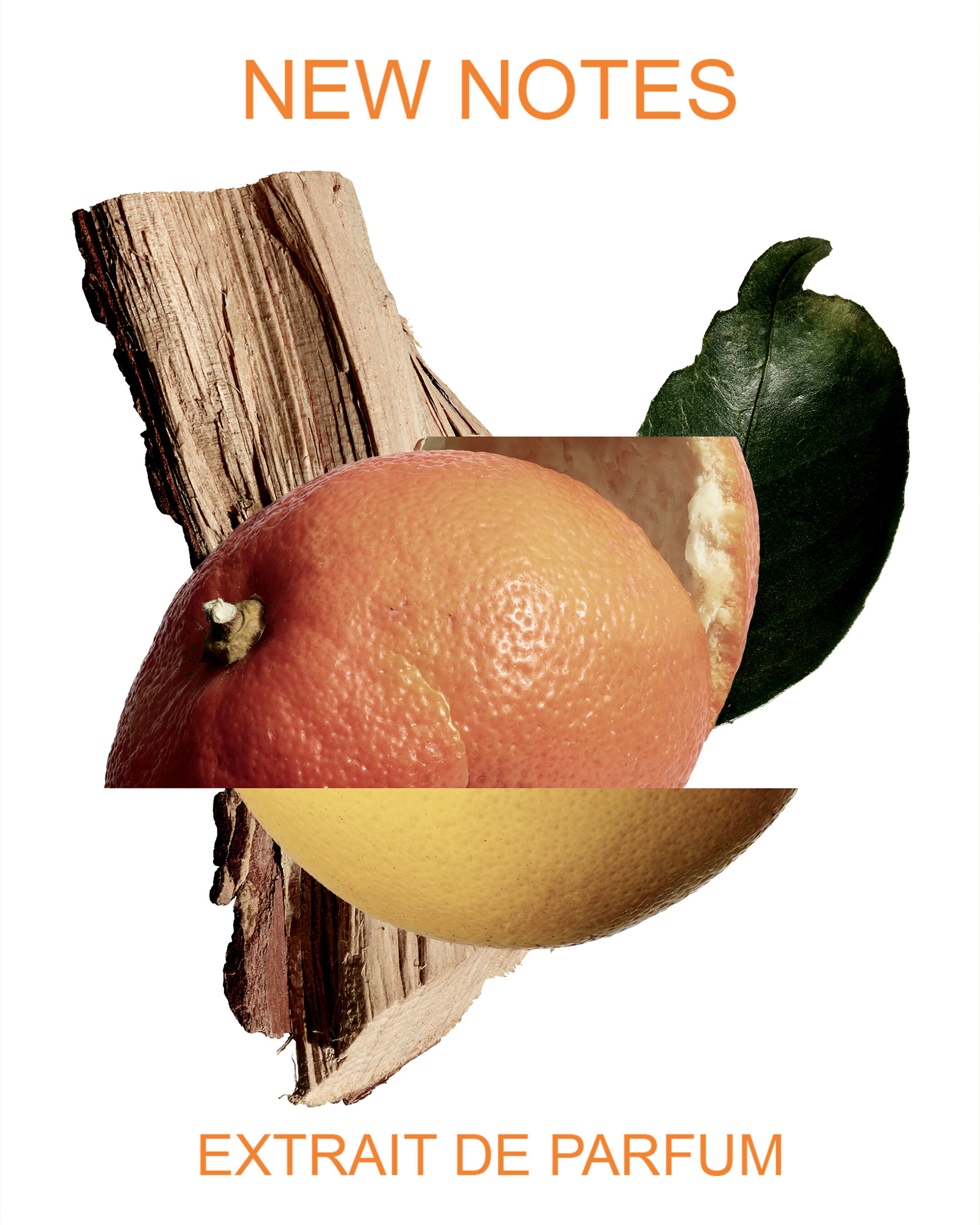 NEW NOTES Akigala Mandarino ~ Novas fragrâncias