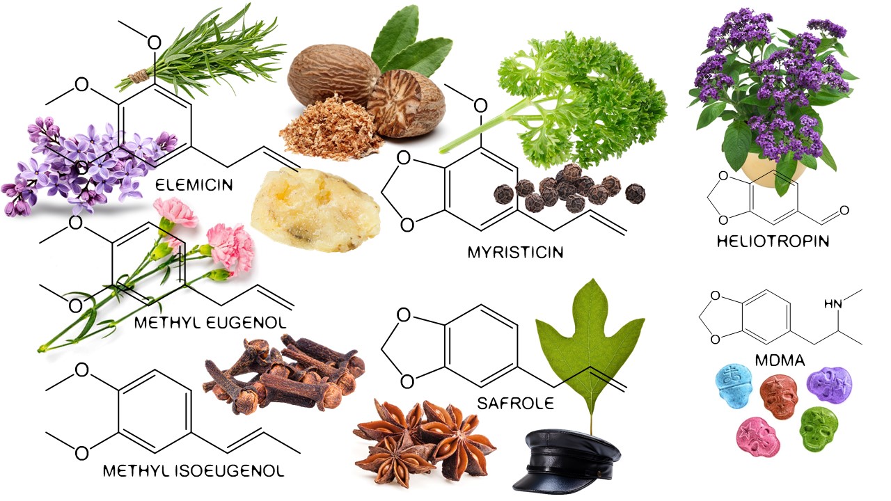 Nutmeg: التوابل العطرة ~ المواد الخام