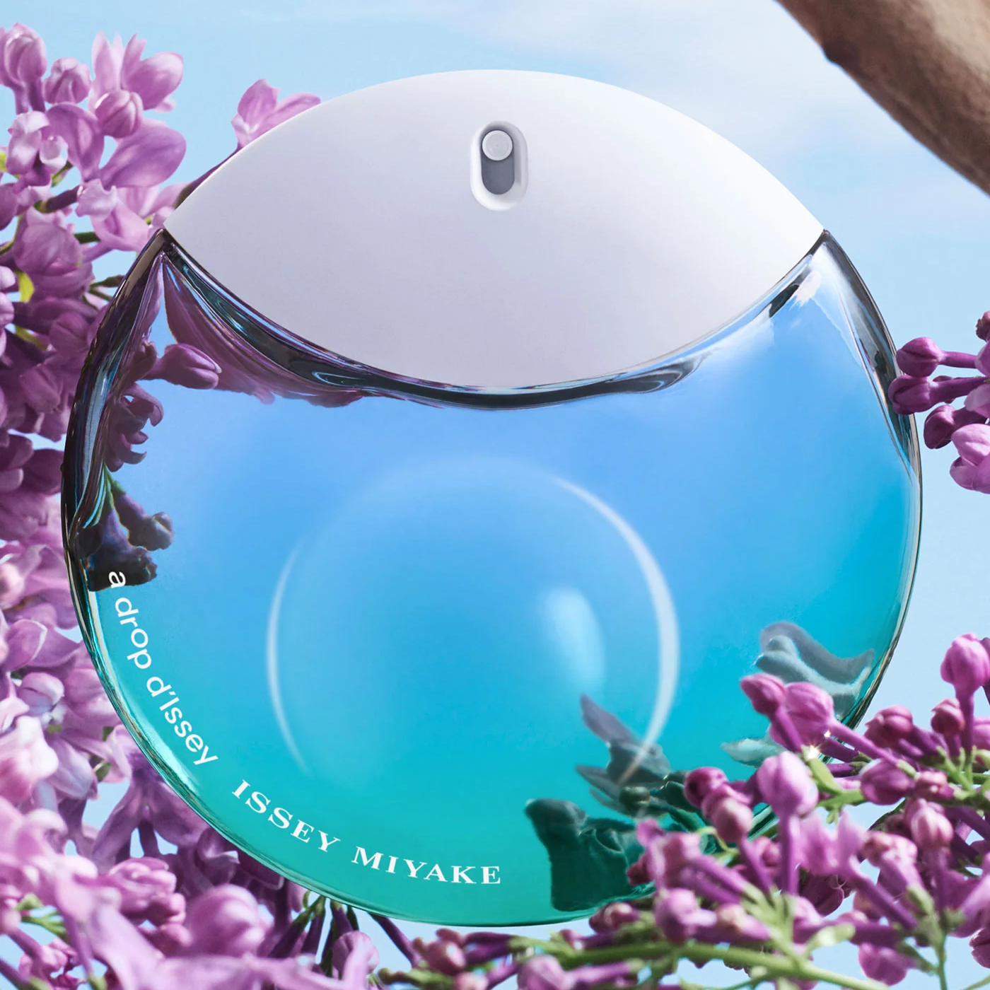 Drop d'Issey Kollektion: Das Leben im Wasser mit Issey Miyake ~ Reviews