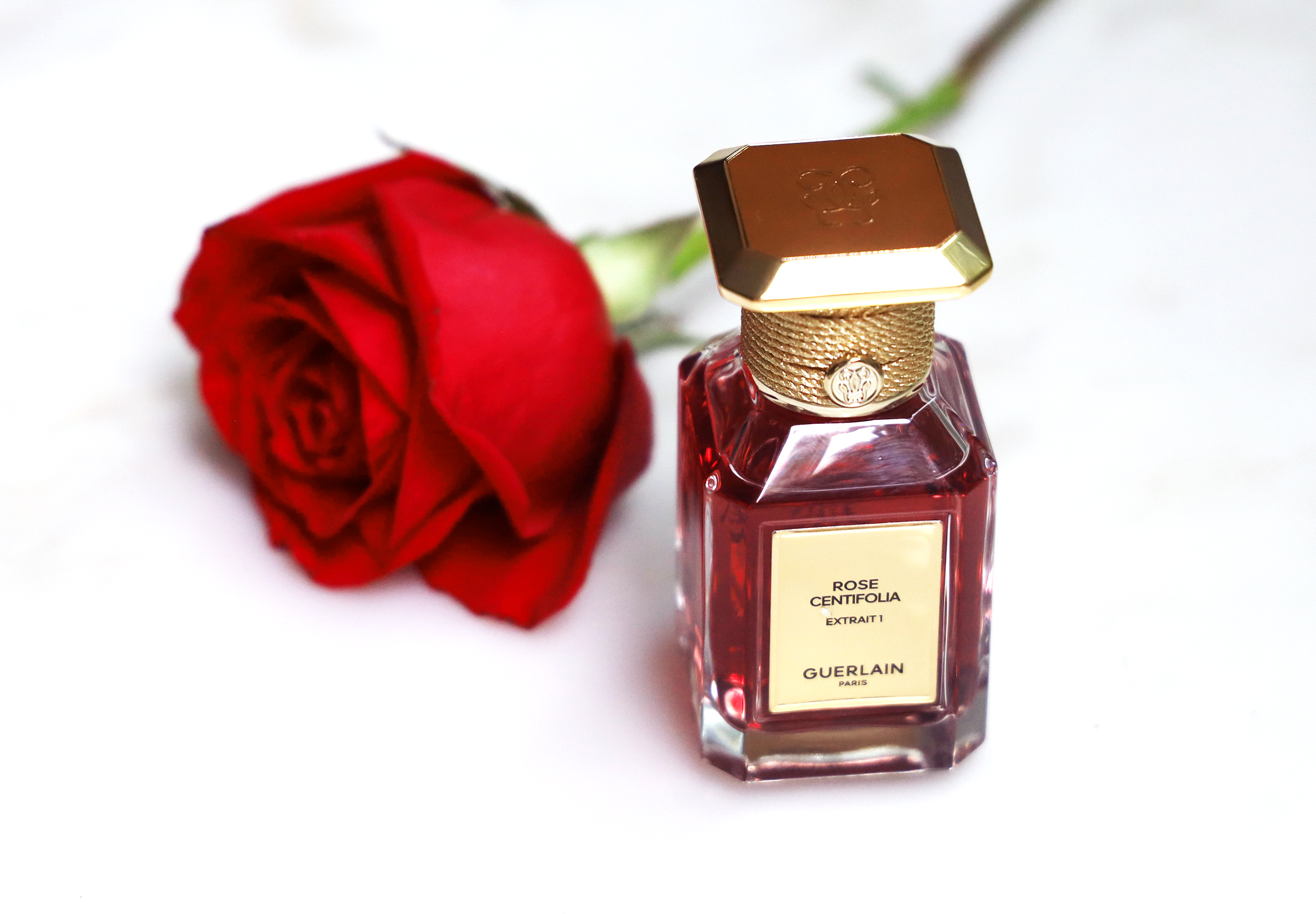 Rose Centifolia Extrait 1 Guerlain ~ مقالات عطرية