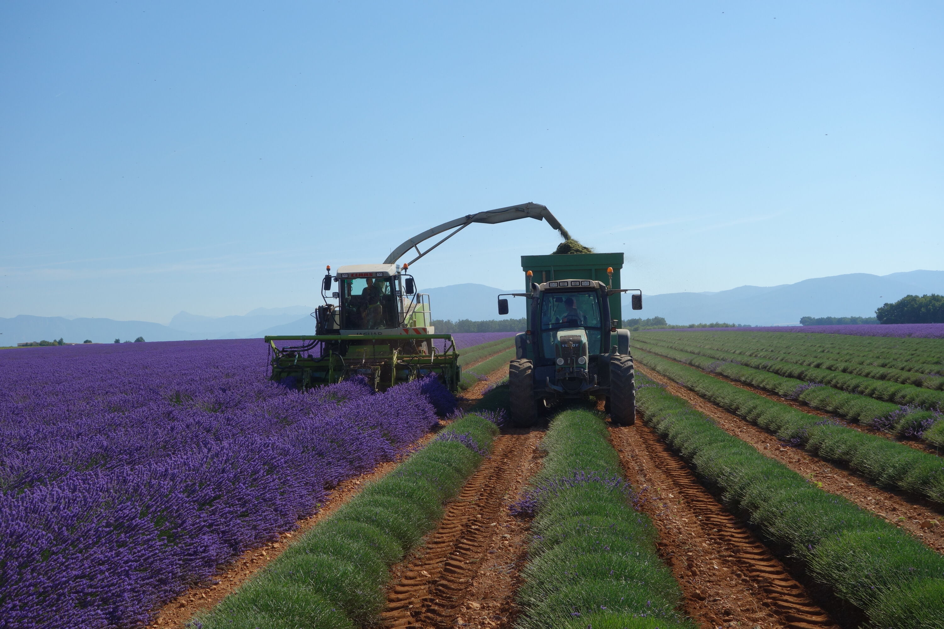 WPC 2024: تعطي شركة Natural Corners صوتًا للمنتجين المسؤولين للمكونات الطبيعية ~ فاعليات و أحداث