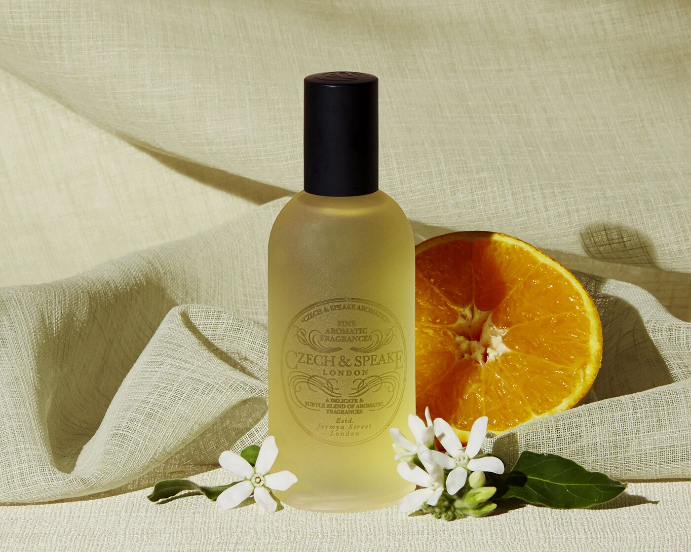 Citrus Paradisi: Irgendwo zwischen Schwimmbad und WC-Stein ~ Reviews