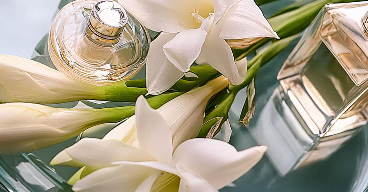 TUBEROSE EXPOSÉ - Beste tuberoos-parfums van het jaar (2023/2024) ~ De ...