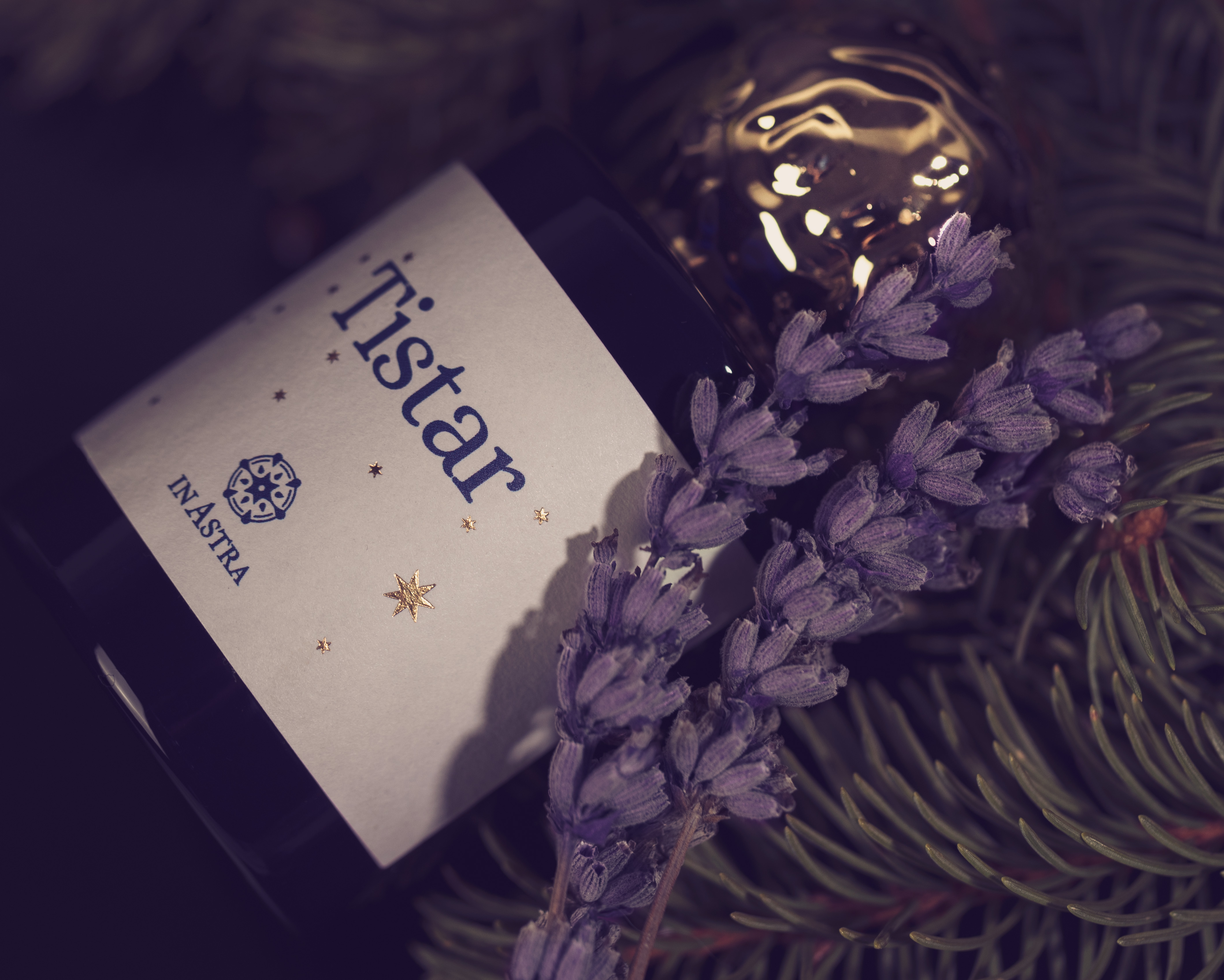 Ζεστή Αγκαλιά στο Κρύο του Χειμώνα: Tistar, η νέα δημιουργία In Astra ...