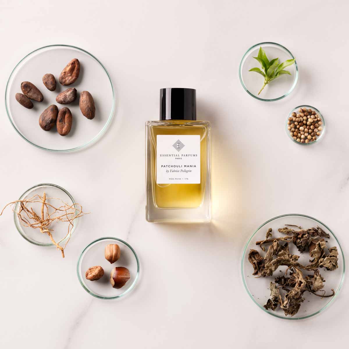 FRAGRANZE 2023 : Patchouli Mania d'Essential Parfums - Le patchouli ... FRAGRANZE 2023 : Patchouli Mania d'Essential Parfums - Le patchouli ...