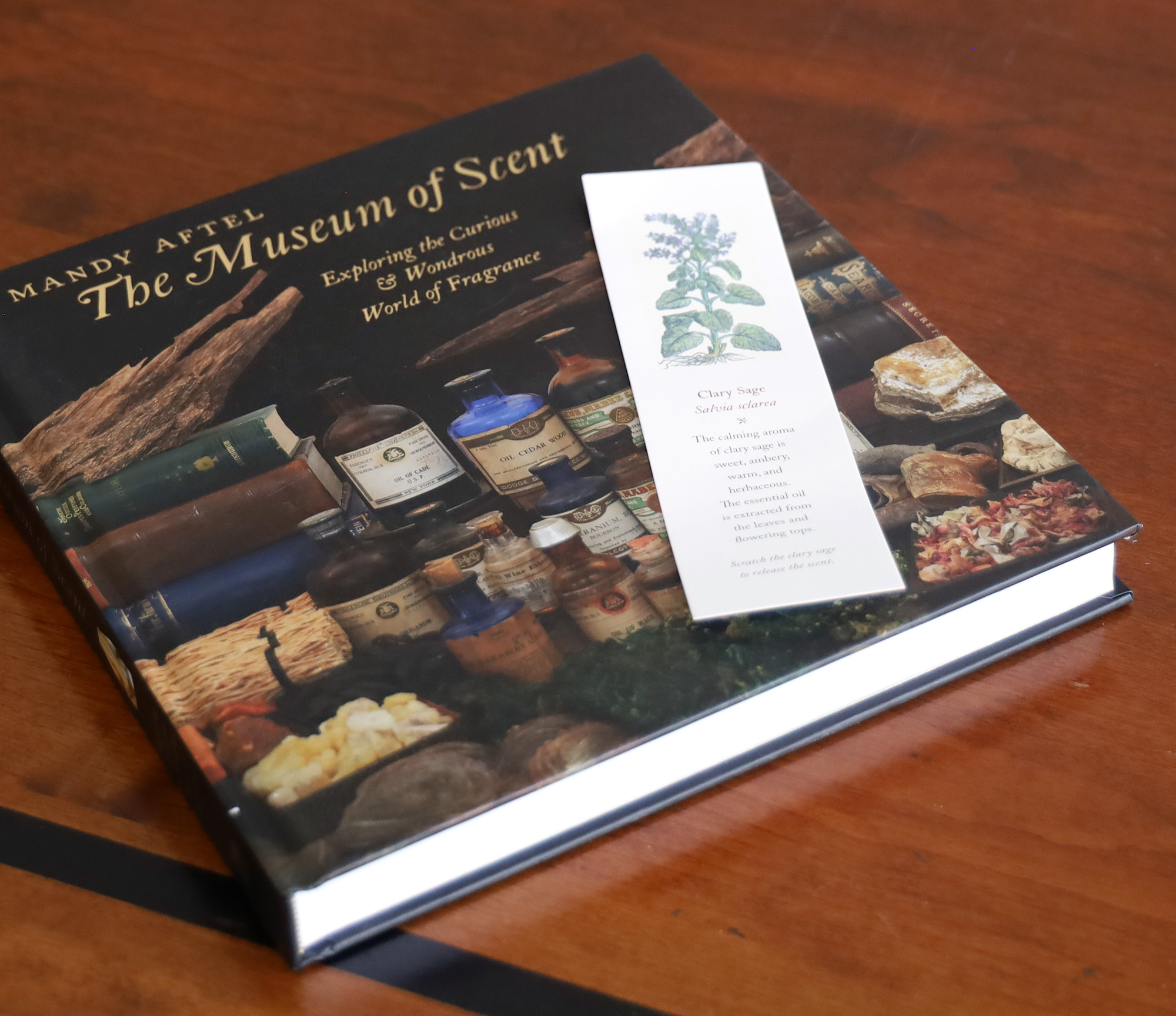The Museum of Scent di Mandy Aftel - Recensione del Libro ~ Arte, Libri ...