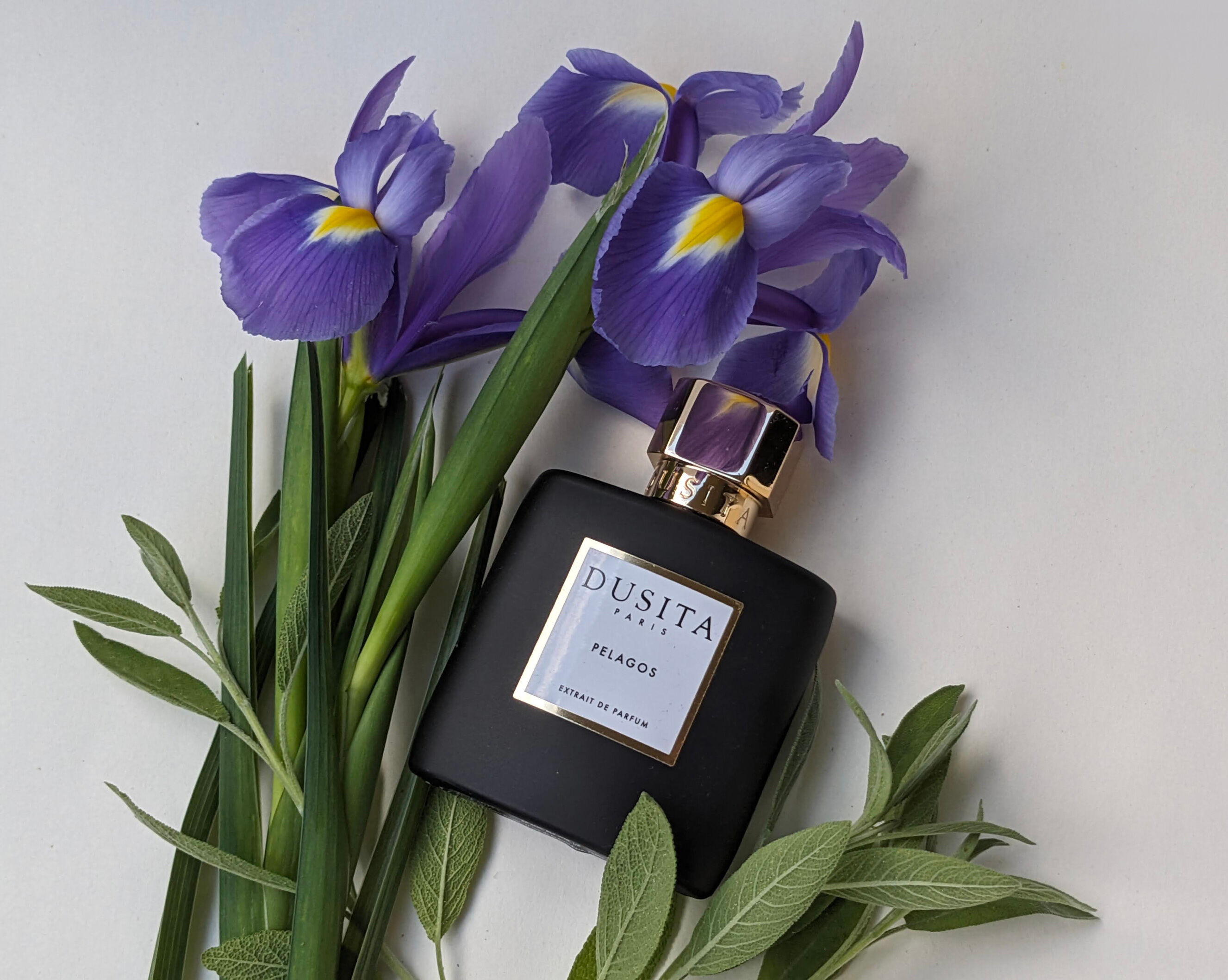 Um Entusiasta de Perfumes Lê Proust: O Protagonista, Seu Dublê e Dois ...