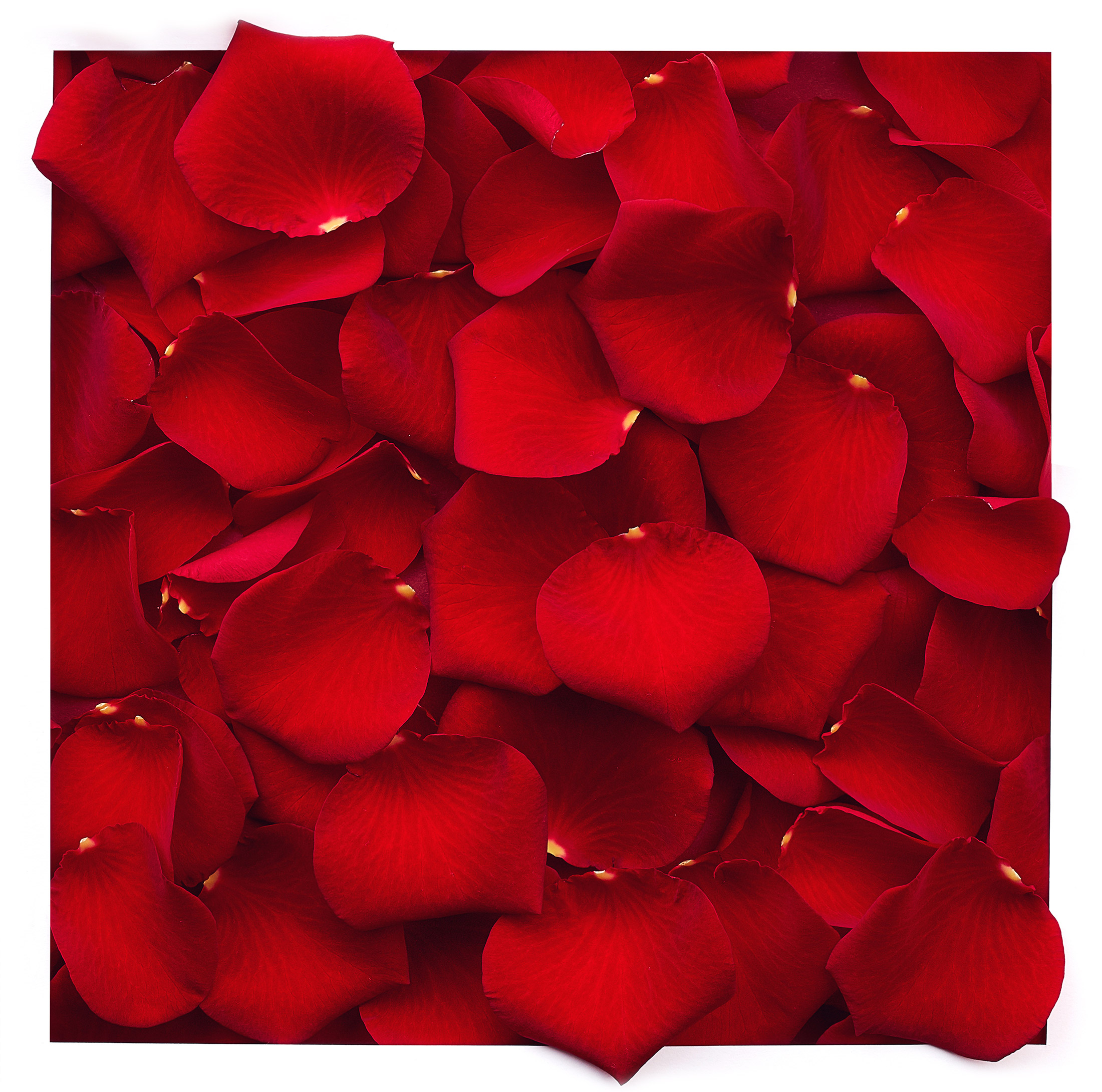 Beautiful Donna Valentino ~ ΚΡΙΤΙΚΕΣ ΑΡΩΜΑΤΩΝ