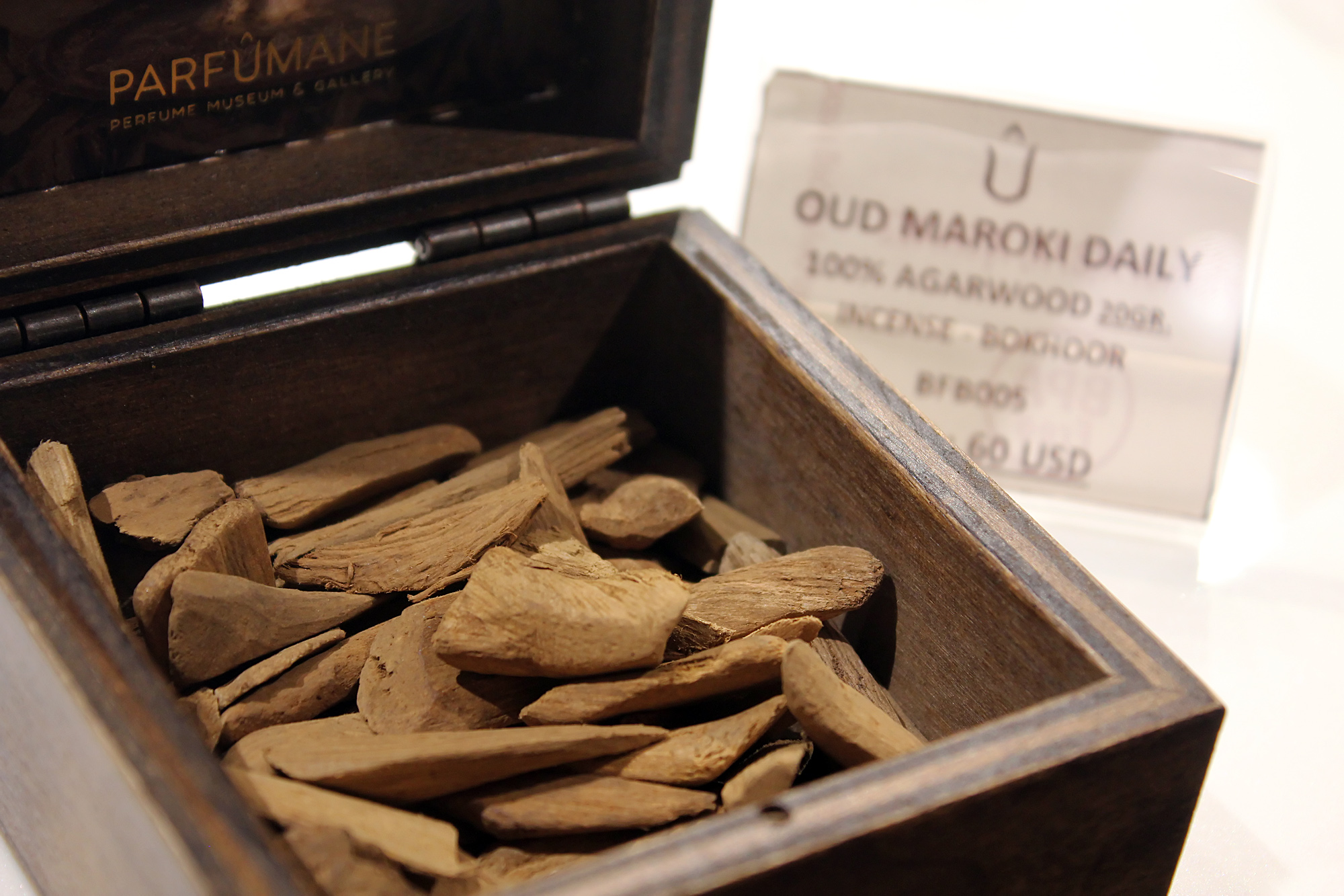 Une redécouverte authentique : Entretien avec Yasir Kantarci, cofondateur de PARFUMANE ~ Colonnes