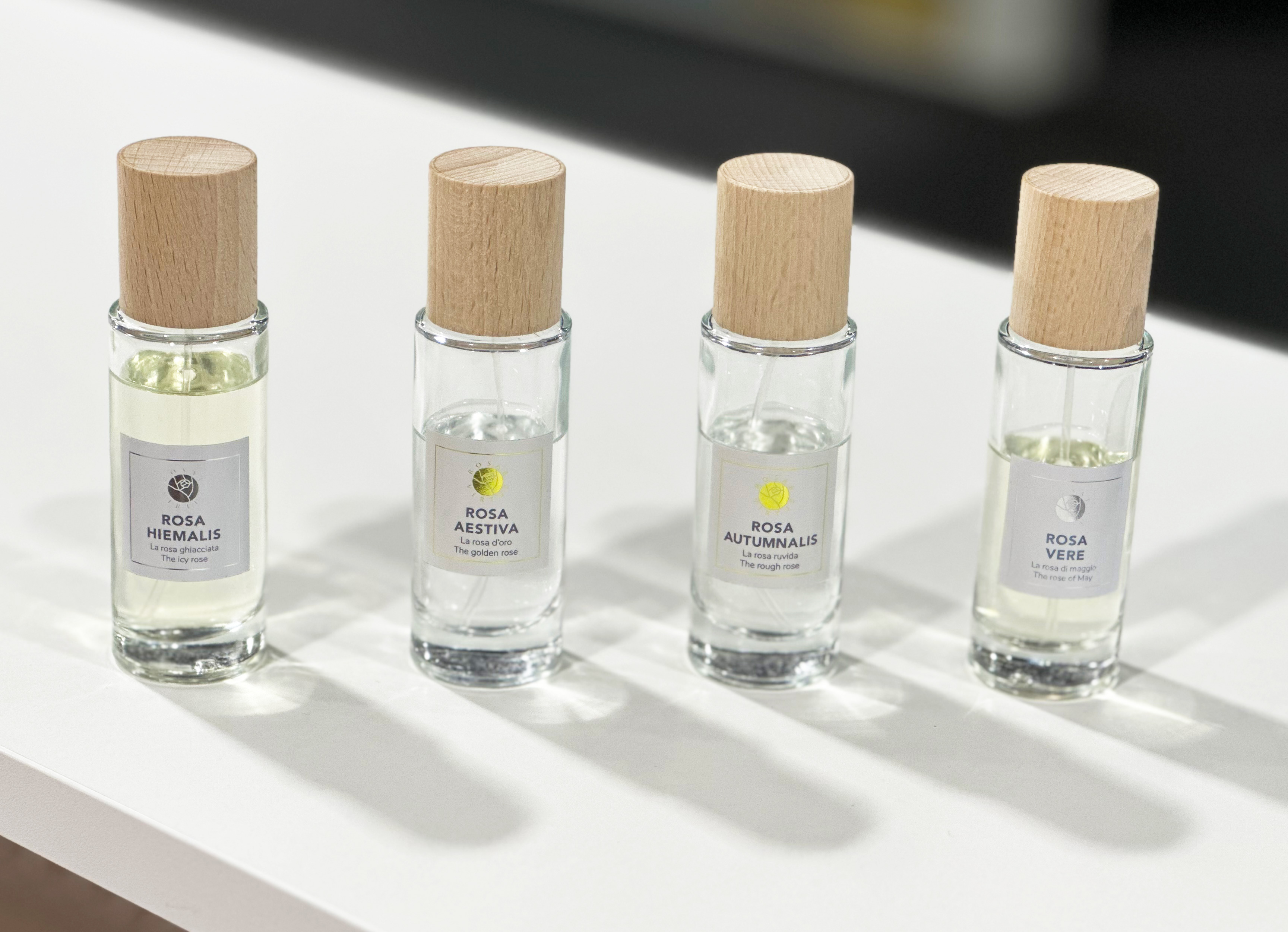 Rosae Virtus – El Poder de la Rosa ~ Nuevas Fragancias