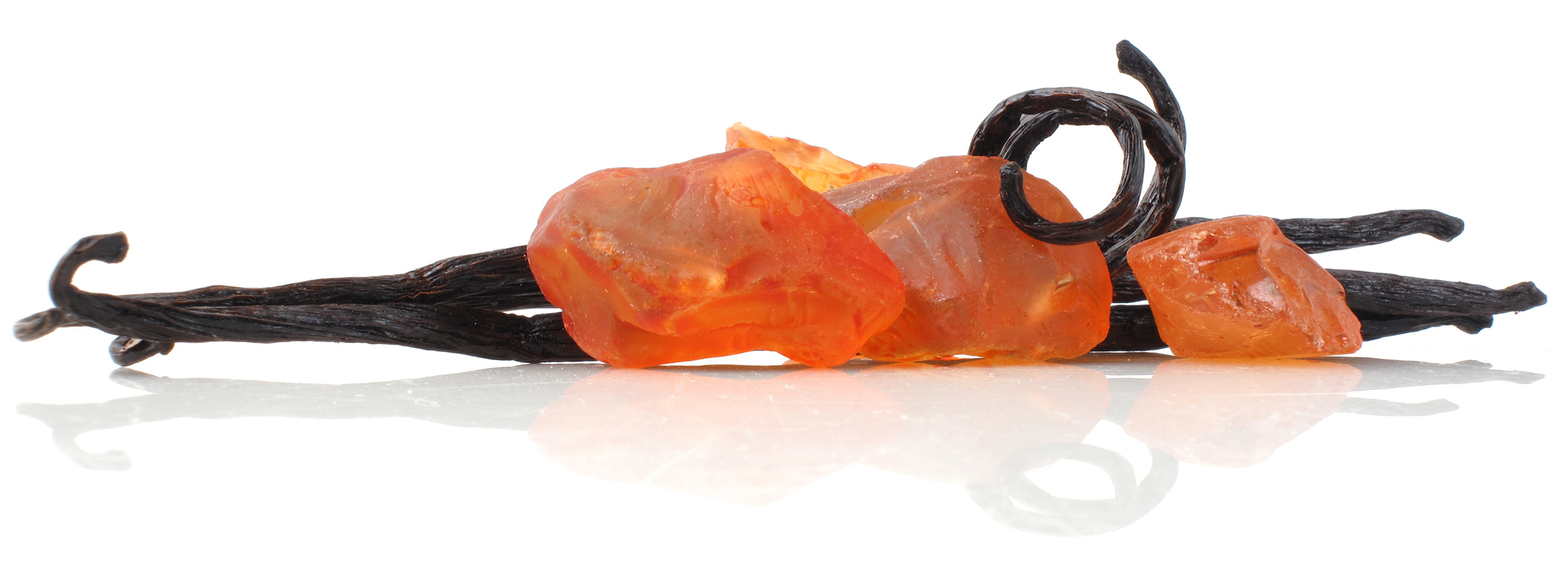 Vanillin: Der Vater der Amberfamilie ~ Kolumnen