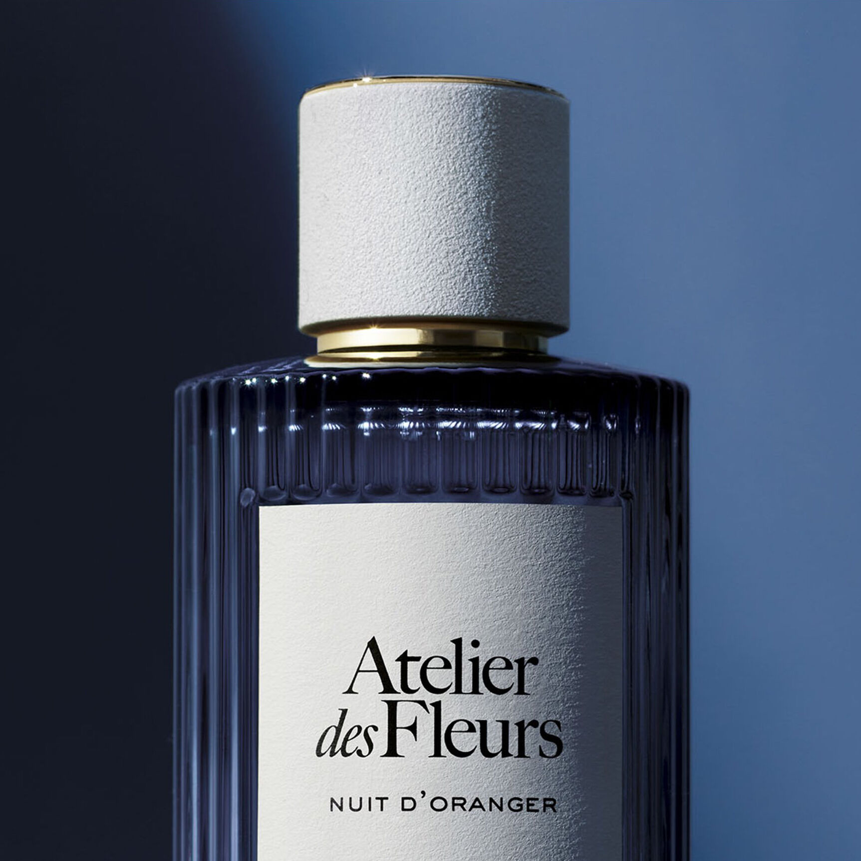 Chloé Fleurs de Nuit: Nuit d'Oranger, Orchidée de Minuit και Tubéreuse ...