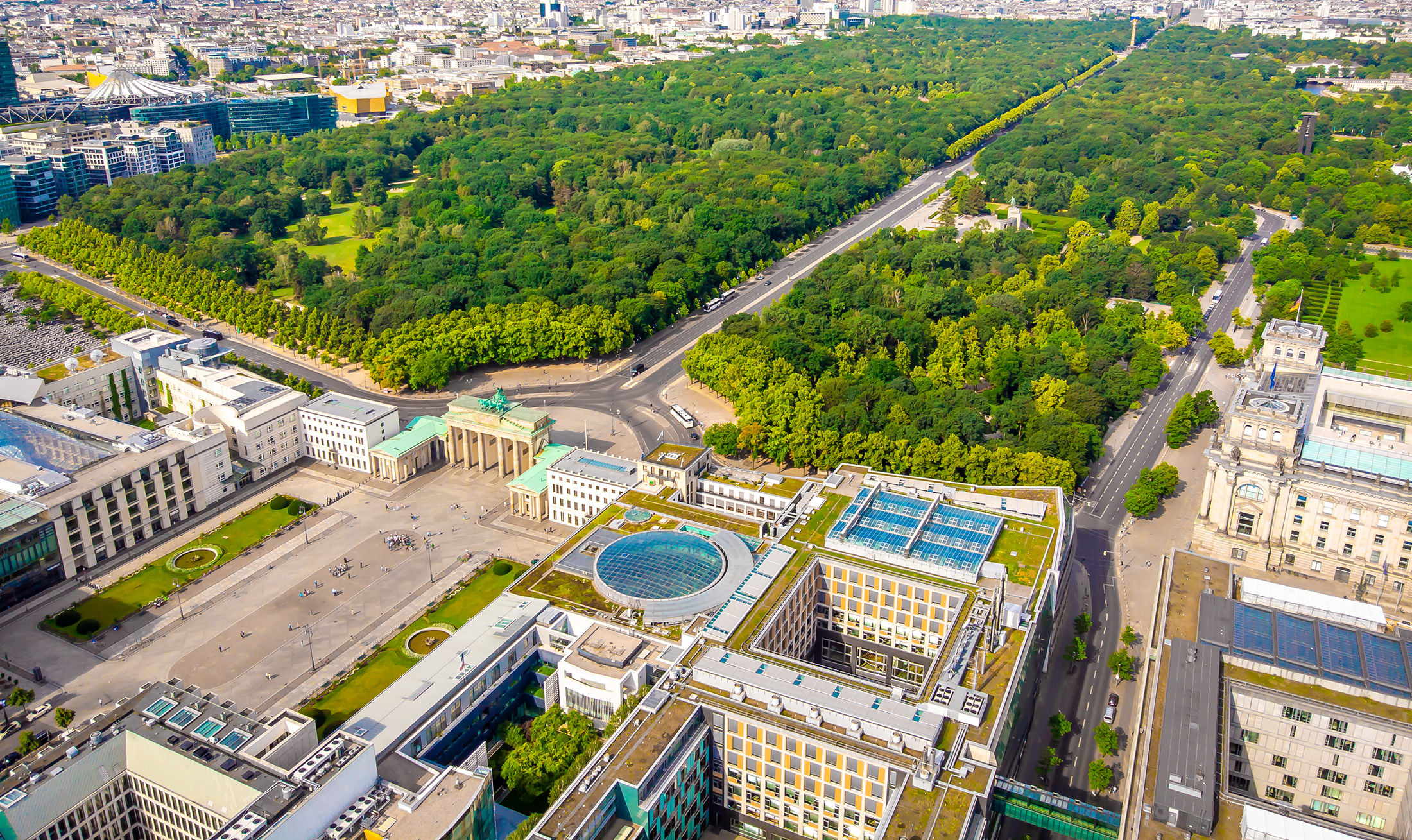 Floarea de tei în parfumuri vintage ~ parfumul si cultura