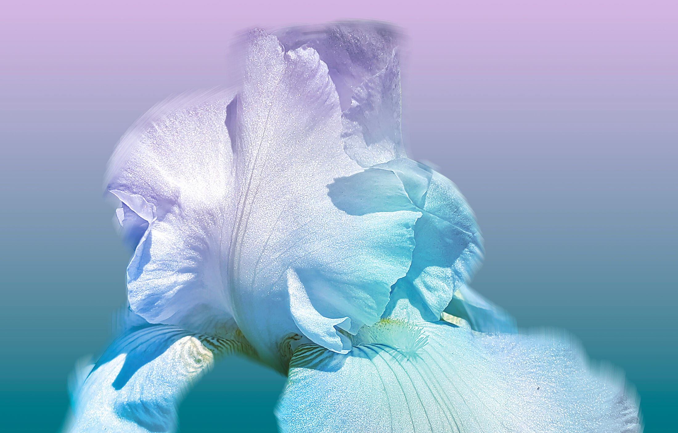 A Marca Suíça Sammarco Lançou Thaumas ~ Novas Fragrâncias