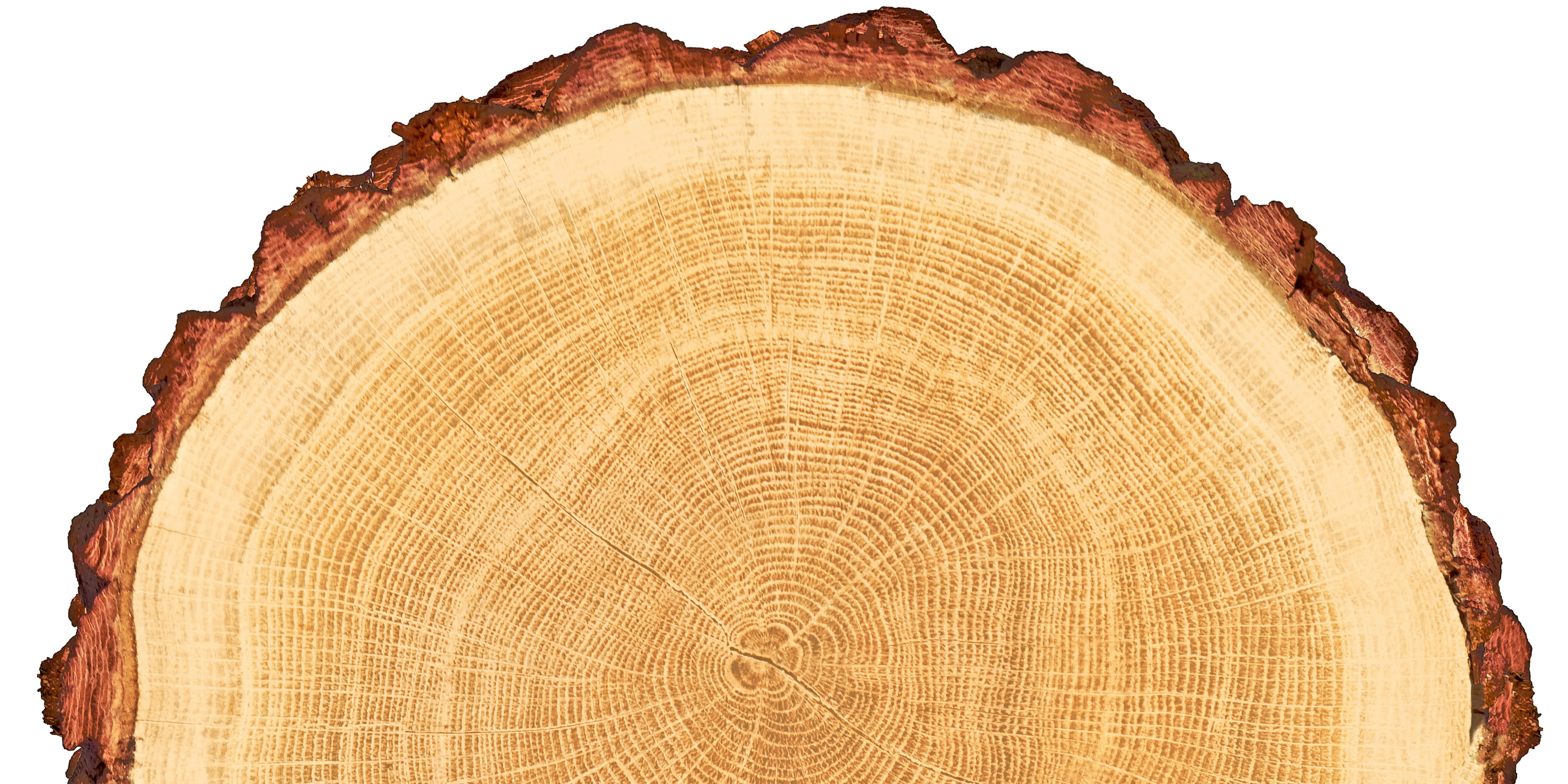 Absolu Aventus by Creed: Ακόμα Aventus; ~ ΚΡΙΤΙΚΕΣ ΑΡΩΜΑΤΩΝ