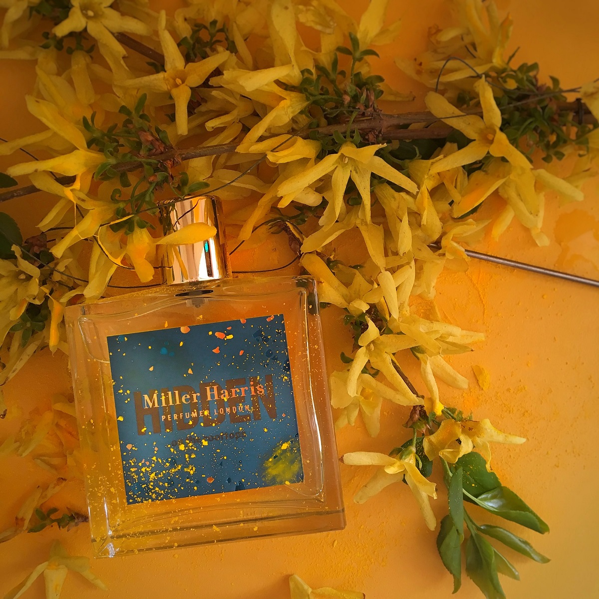 Hidden on the Rooftops Miller Harris: κάτω από τις φλαμουριές ...