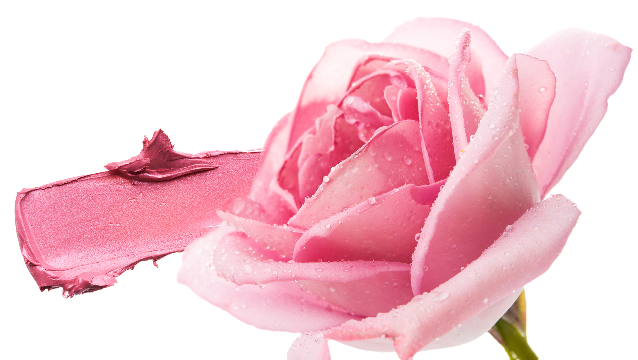 Die Grosse Rosenmission ~ Kolumnen