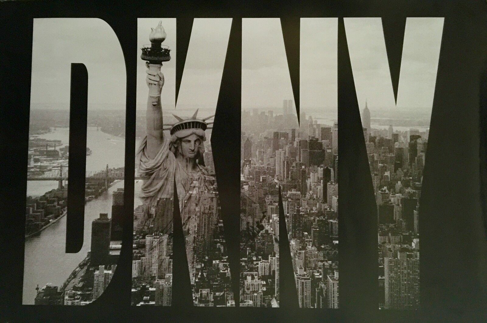 Iris Donna Karan: Ein teures weißes Hemd ~ Reviews