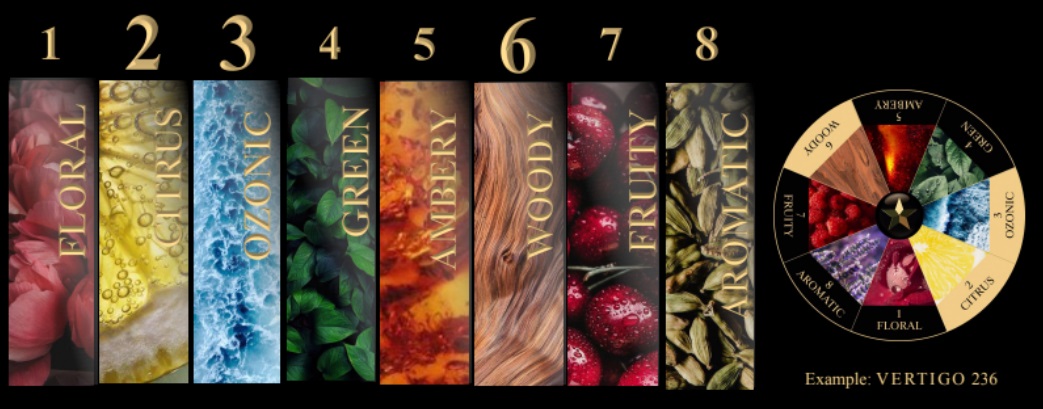 Esxence 2023 - Vă prezentăm Maison Noir și noul parfum Somnia 517 ...