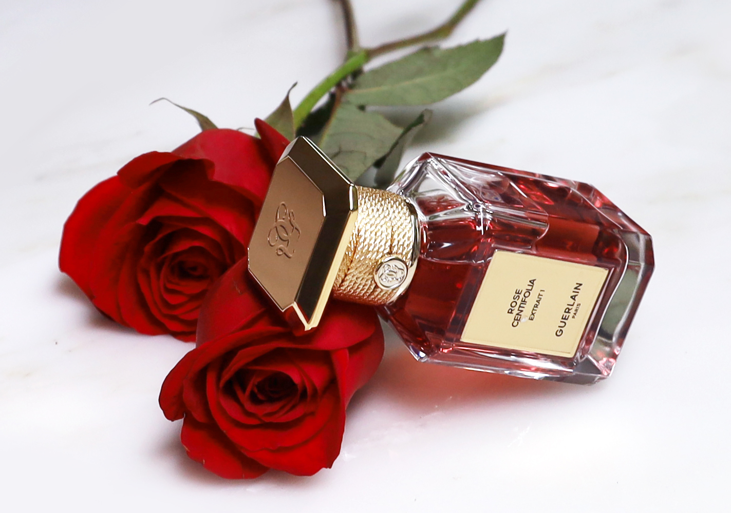 Rose Centifolia Extrait 1 Guerlain ~ مقالات عطرية