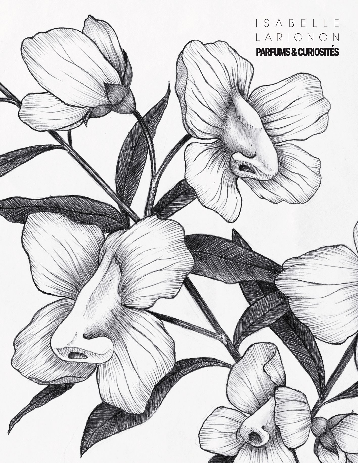 Milky Dragon de Isabelle Larignon: Ceai Oolong cu note untoase ...