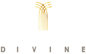 Divine Divine perfume - a fragrância Feminino 1986